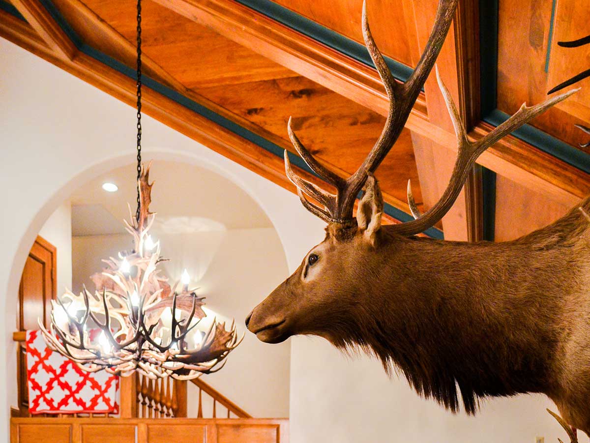 Tacky cabin decor choices that make a rustic home look completely dated