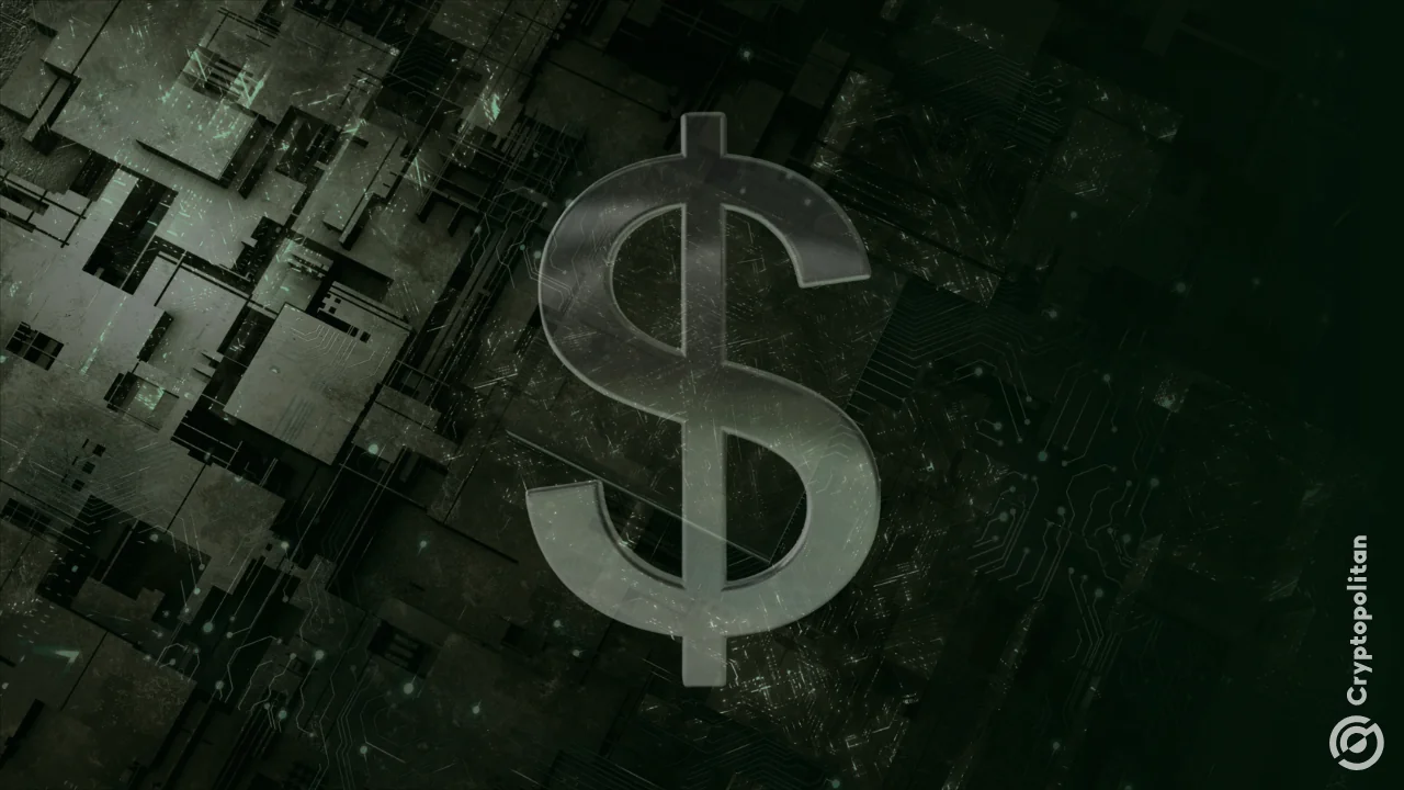 Solana co-founder Yakovenko sees stablecoin supply touching $1 trillion ...