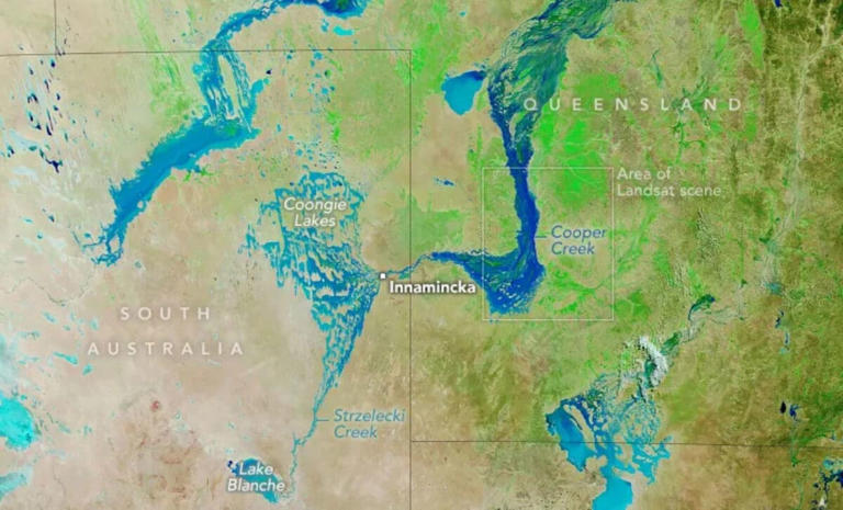 NASA satellite captures something strange blooming in Australia’s brown ...