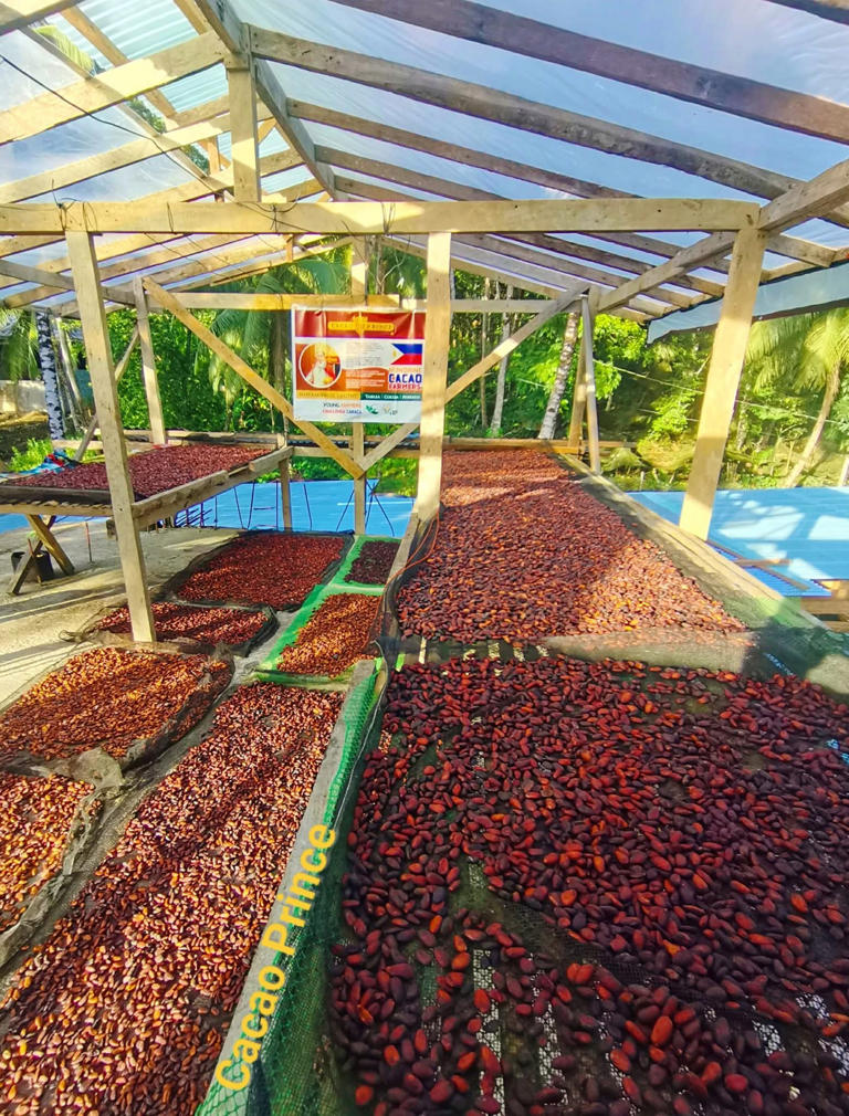 Soil engineering allows agriculture to flourish in Agusan del Sur