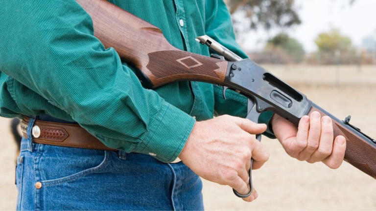 Want simplicity? Why a lever gun makes sense for defense over modern ...