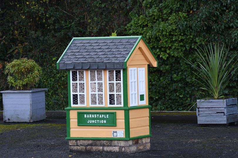 Quirky new arrival at Devon train station platform