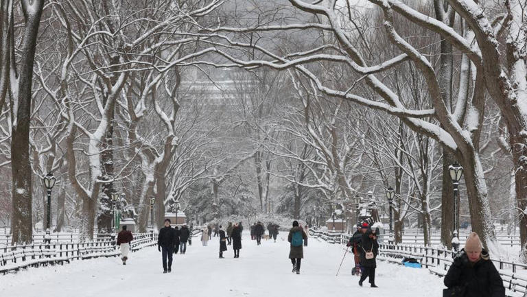 Nearly 4,000 flights delayed after heaviest New York City snowfall in years