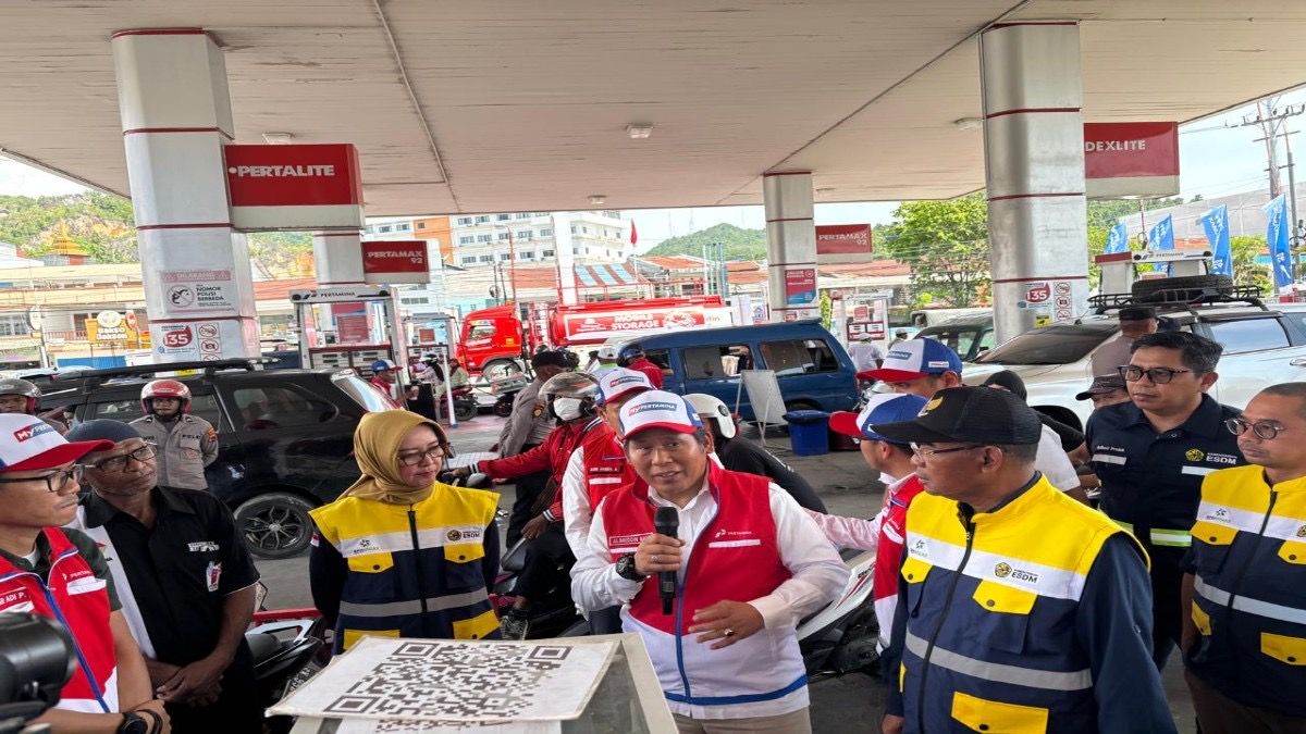 BPH Migas pastikan kebutuhan energi Papua terpenuhi