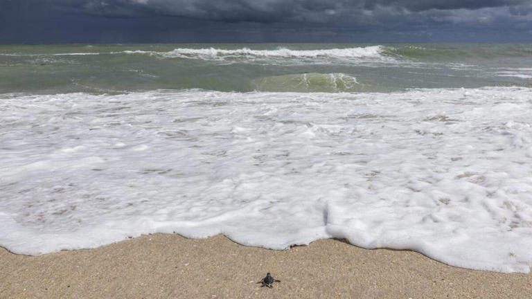 How this Florida barrier island community pushed back against ...