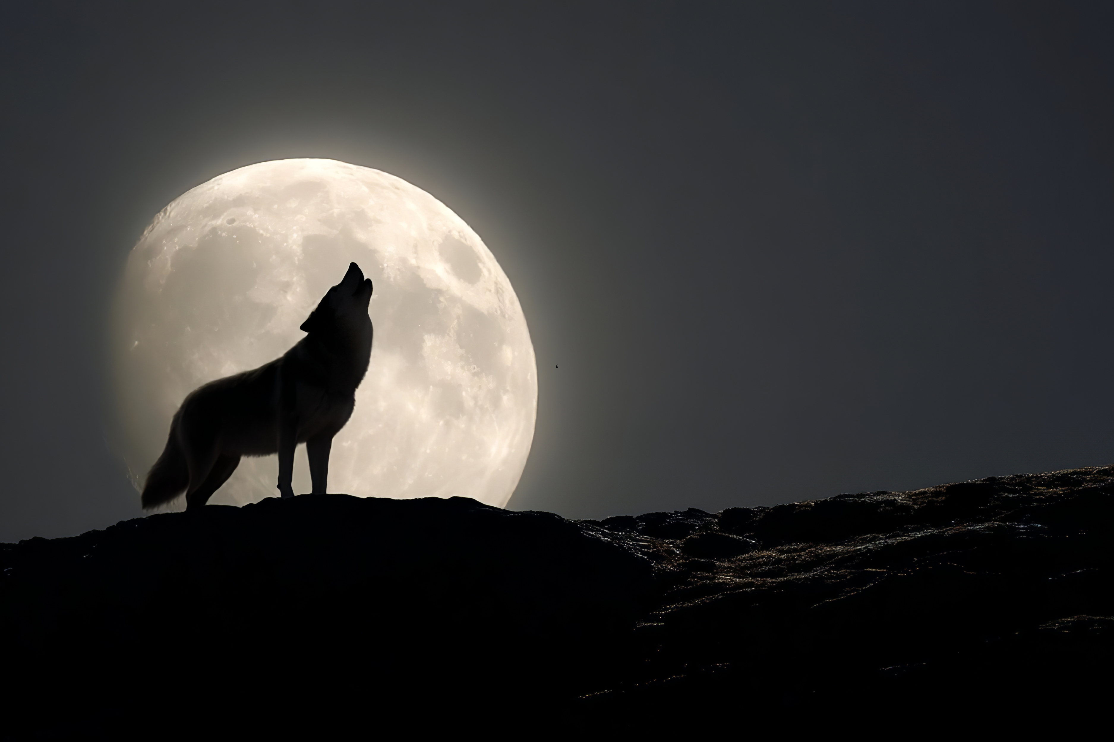 January full moon date 2026: How to see the Wolf Moon and how the first ...