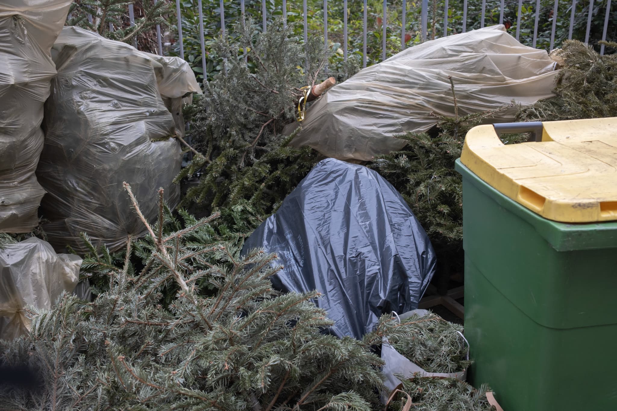Ai-je le droit de jeter mon sapin de Noël dans la rue ou dans la nature