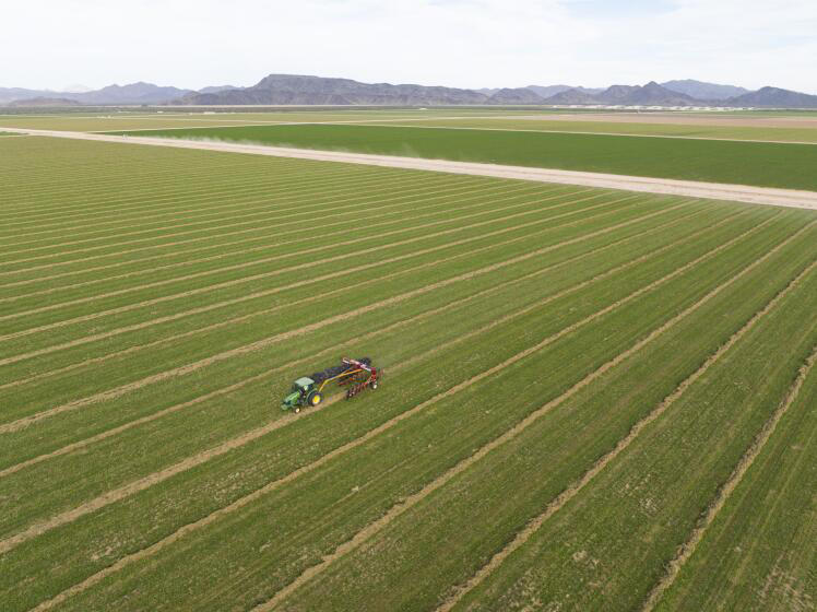 Where a Saudi company pumps desert groundwater, Arizona considers ...