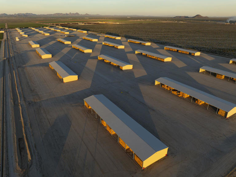 Where a Saudi company pumps desert groundwater, Arizona considers ...