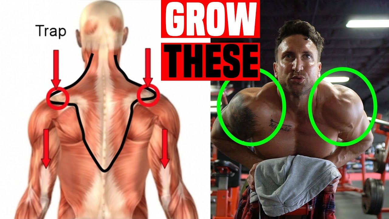 Use a Balloon Method shoulder and trap workout for hulk-like mass