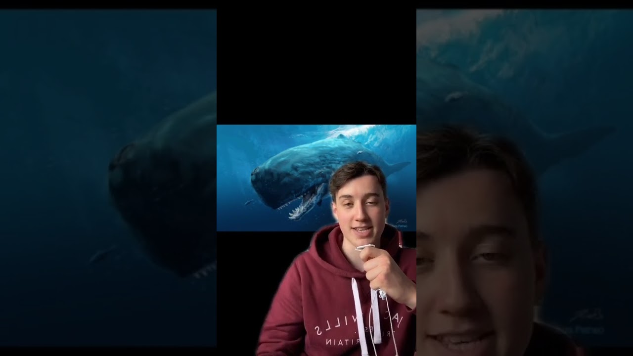 Predicted outcomes of being swallowed by a whale