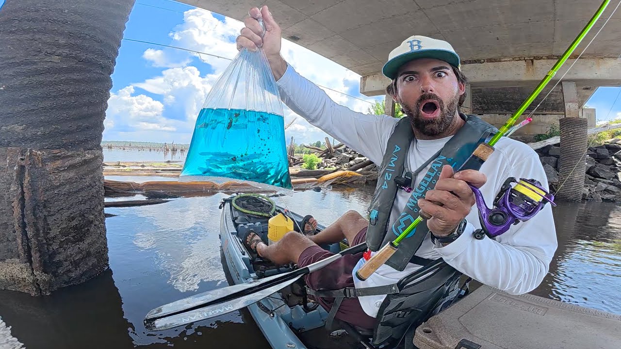 Dried-up lake bridge hides a massive surprise during drain
