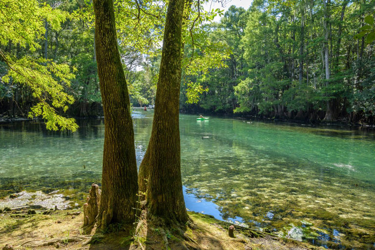 This Florida state park has an aquamarine natural spring, a beautiful ...