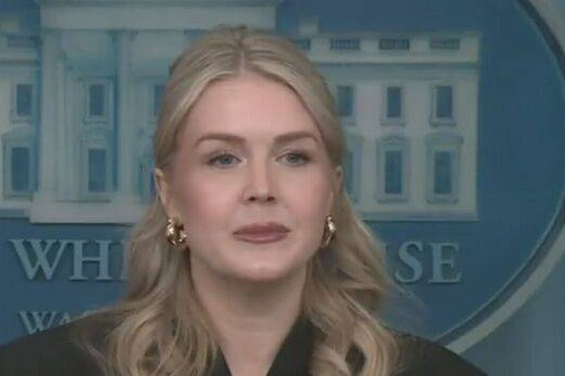 Fox News halts for breaking alert as Trump's press secretary grilled on ...