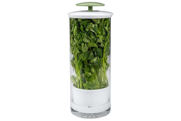 Goodbye, slimy cilantro: This clever gadget keeps herbs fresh for weeks