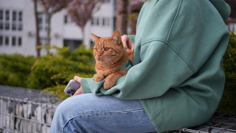 6 styling habits making you look bigger - and how to fix them effortlessly