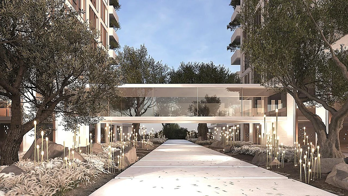 Dubai: Centuries-old trees worth millions to be replanted at new ...