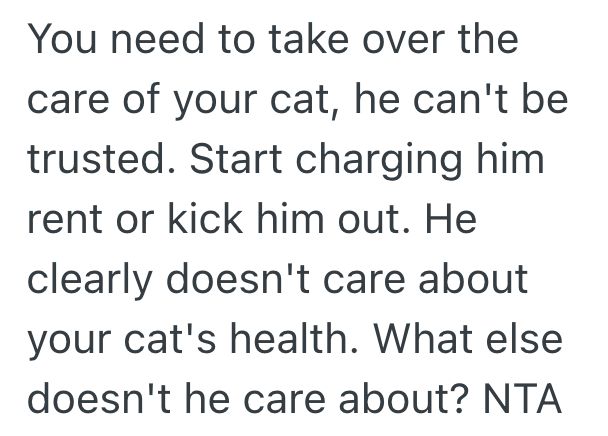 Her partner’s brother lied about changing the filter in the cat’s water ...