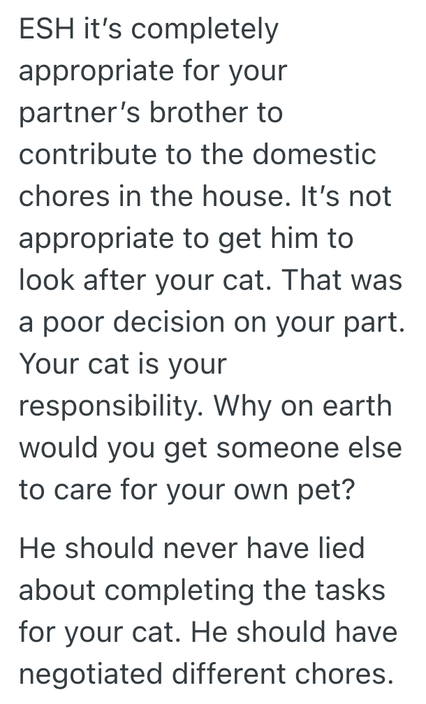 Her partner’s brother lied about changing the filter in the cat’s water ...