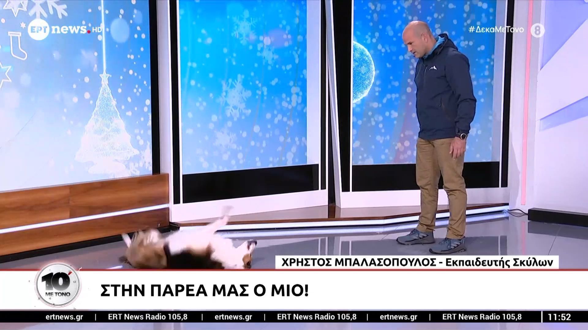 Πώς θα κατανοήσουμε καλύτερα τον σκύλο μας: Ποια είναι τα πιο συχνά ...