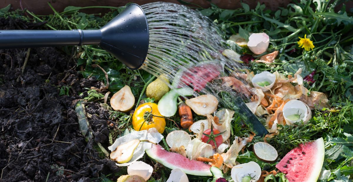 Pourquoi arroser son compost avec de l’eau de pluie change tout (et pas ...