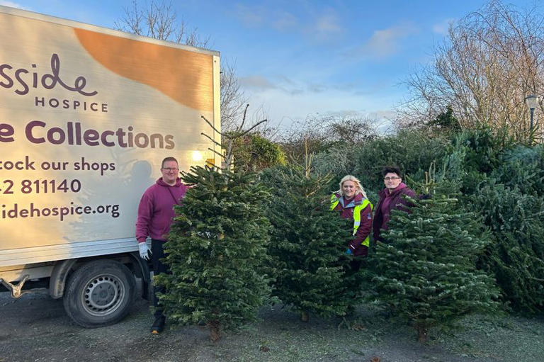 Teessiders urged to join Christmas tree recycling scheme and raise ...