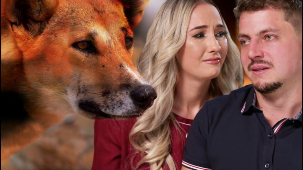 The solved case of Azaria Chamberlain | Midweek mystery