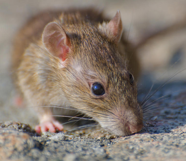 15 people who turned an ordinary day into a movie without a script