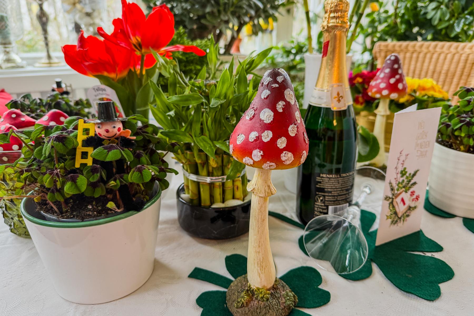 Karl Plobergers Tipp: Die schönsten grünen Glücksbringer für das Jahr 2026