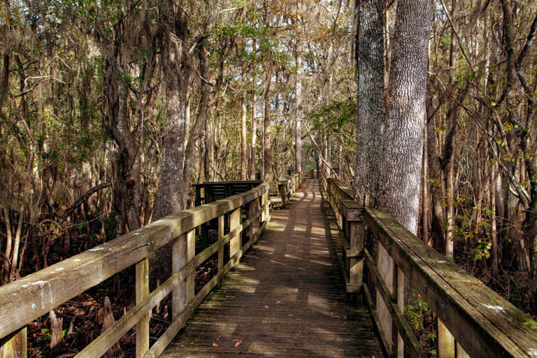 This Florida state park has an aquamarine natural spring, a beautiful ...
