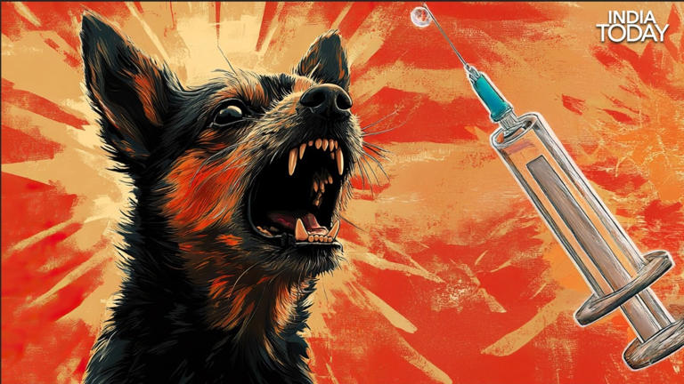 Australia flags fake Abhyarab rabies vaccine; IIL disputes scope of the ...