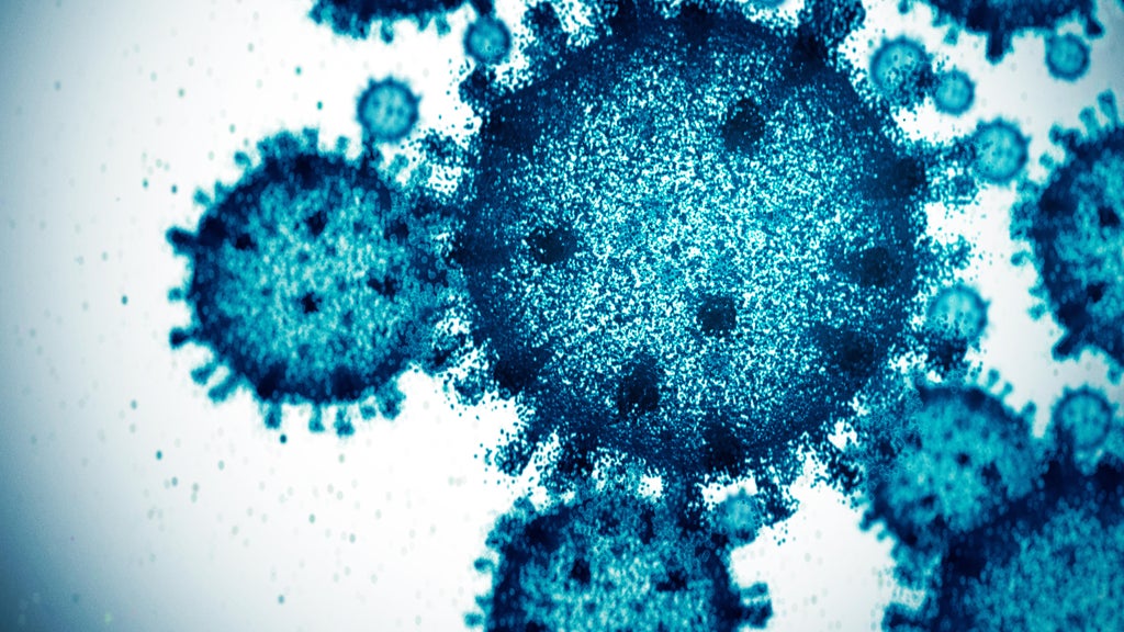 New York breaks a flu record in 2025 as cases spike, state health ...