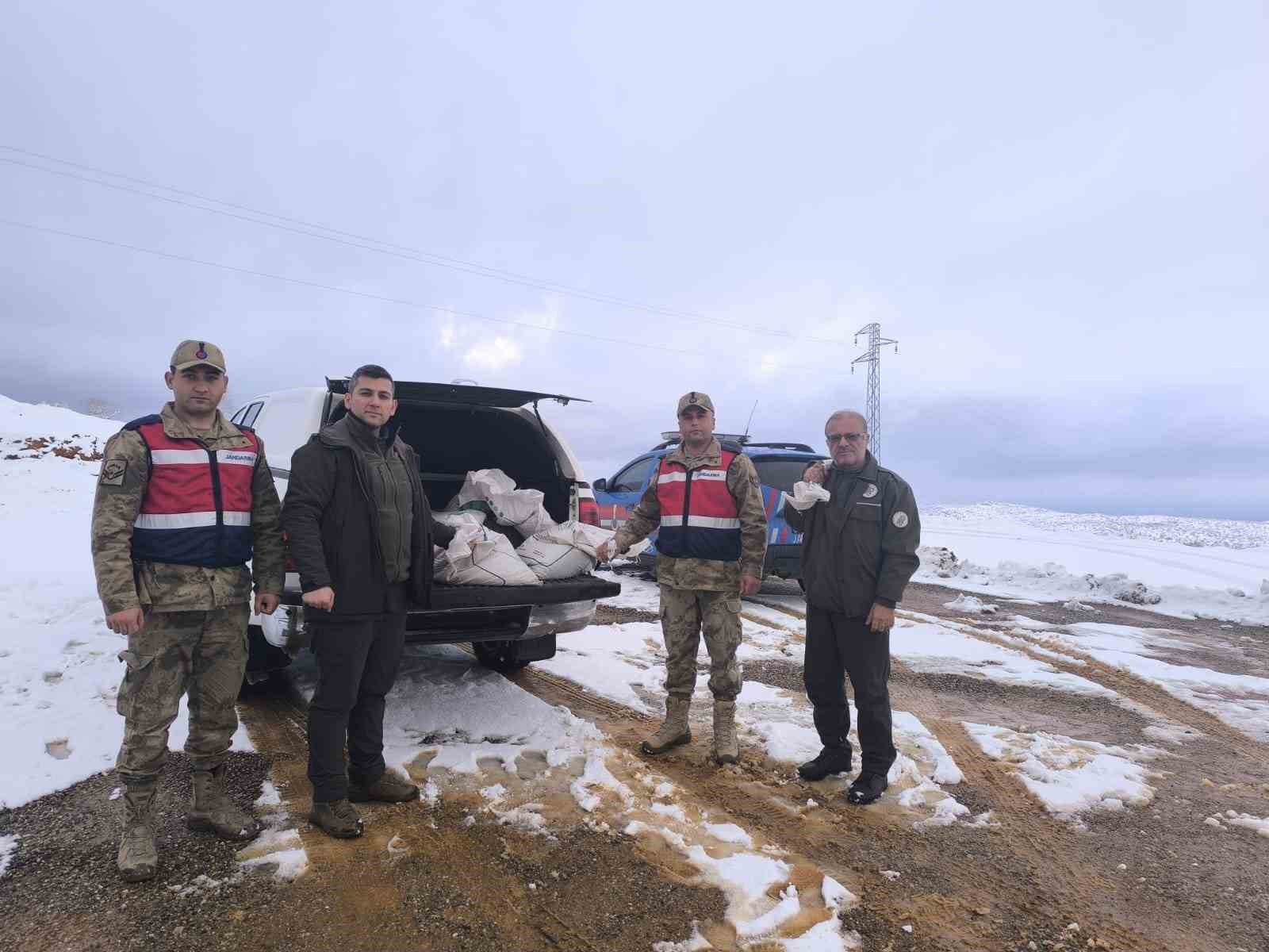 Siirt’te yaban hayvanlarına 750 kilo besi yemi bırakıldı