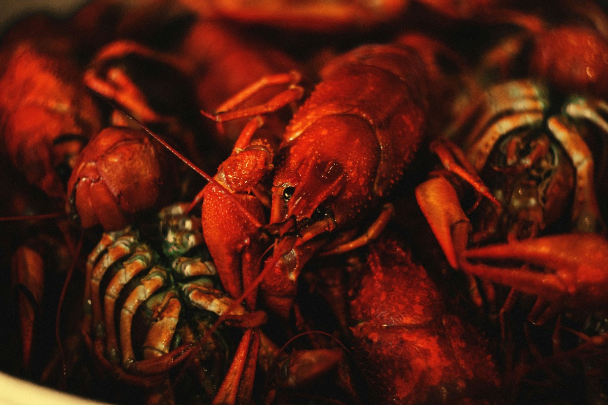 Live lobsters worth $400K reportedly hijacked en route to Costcos in ...