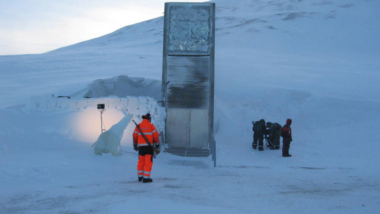 The real reason seed vaults exist and how close we are to needing them