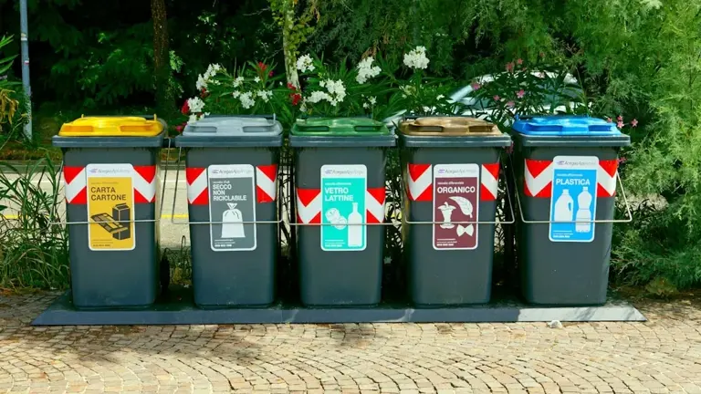 The myths we were sold about going green - and the reality behind them