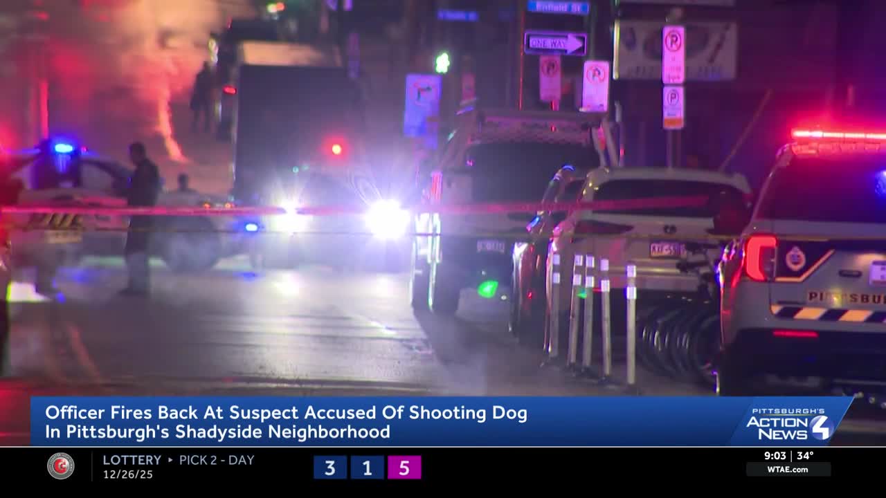 Police return fire after man shoots at woman, dog during alleged ...