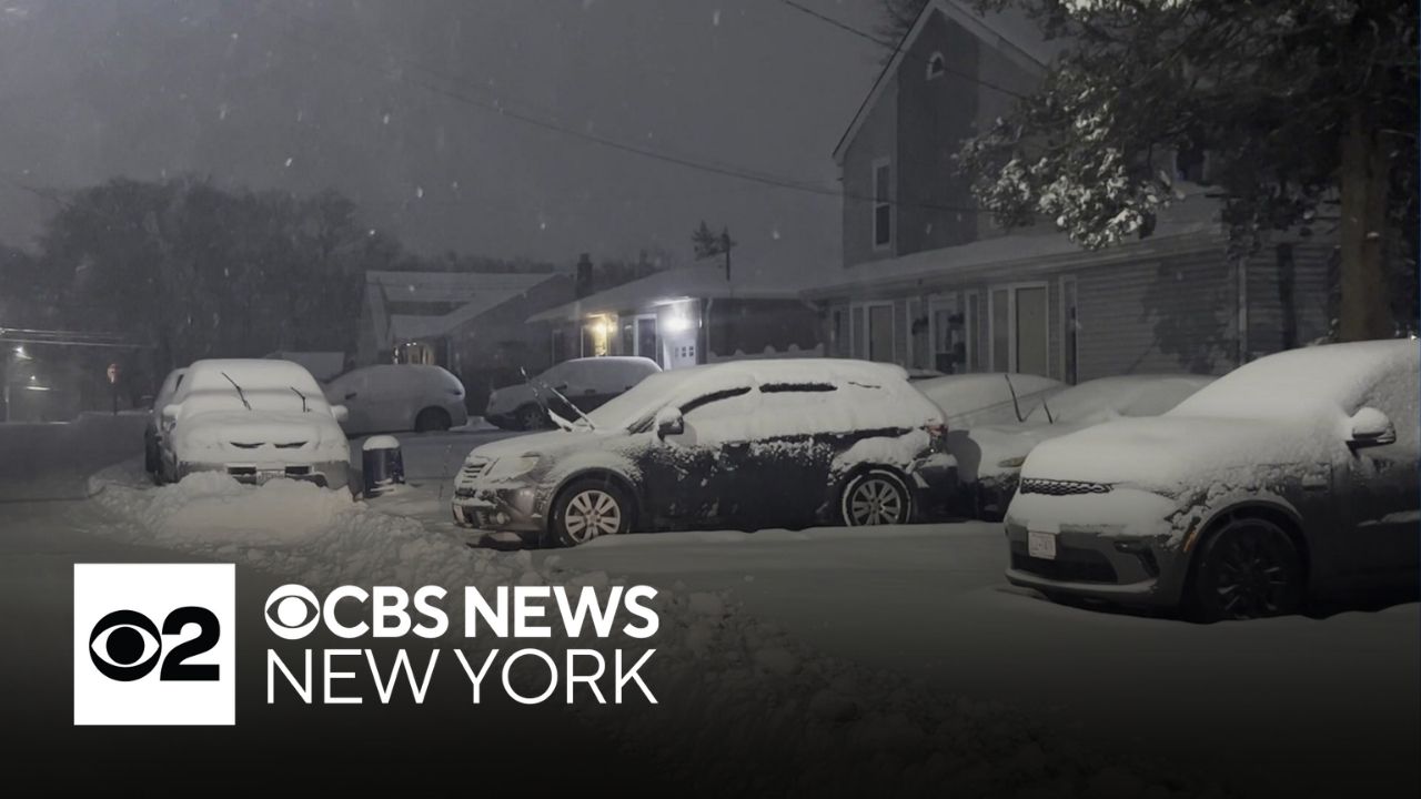 Suffolk County Executive Ed Romaine On Long Island Snow Cleanup