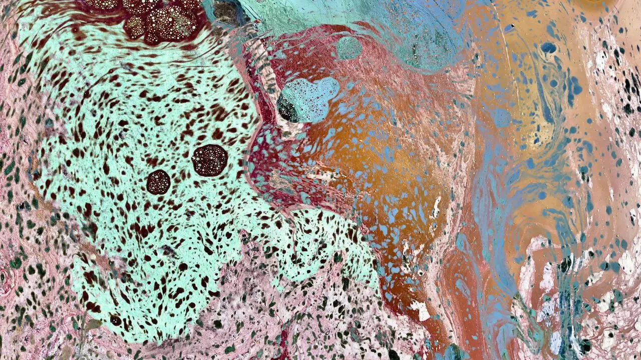 Salt lines: A forgotten 4,000-km 'living border' reappears in a Mumbai ...