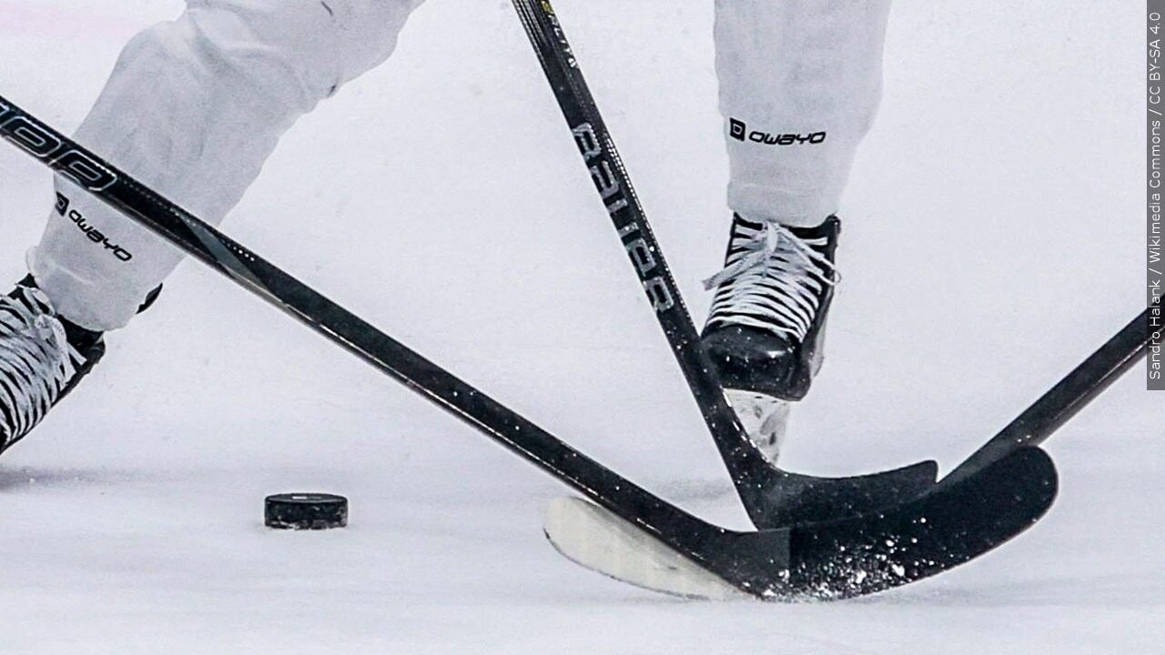 Rapid City Rush game postponed amid player strike; Bluey meet and greet ...