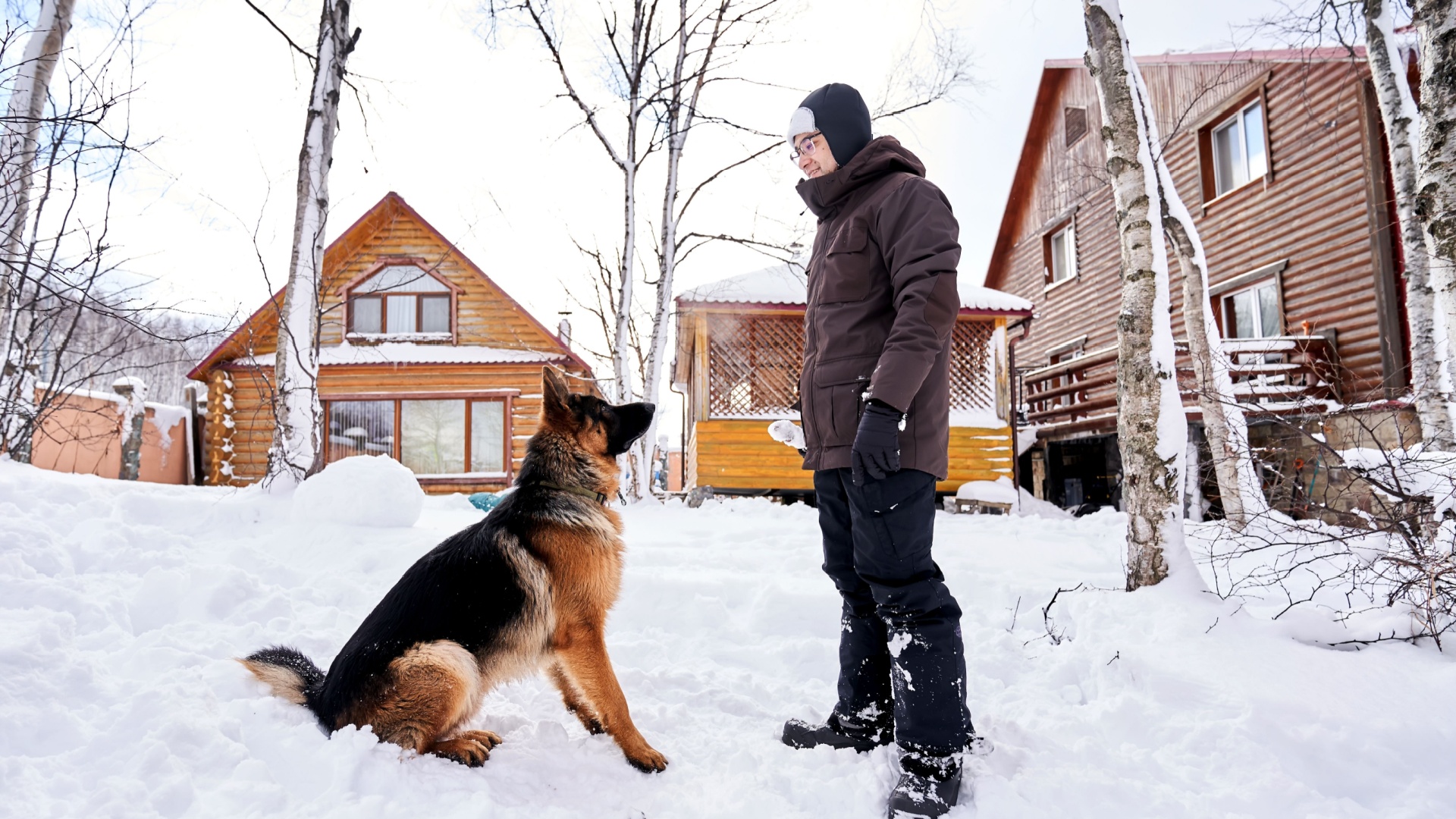 If you’re a new dog owner, here are 9 training mistakes to avoid