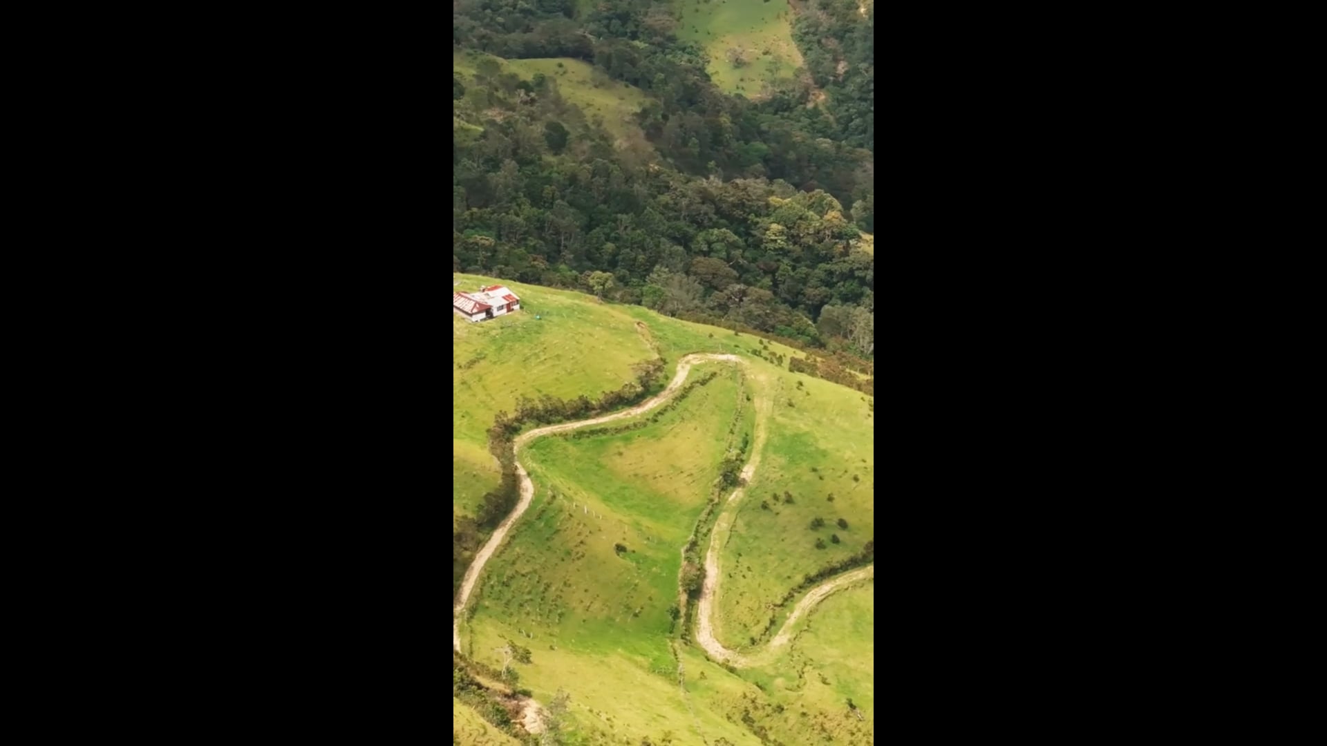 Pemandangan Lembah Cocora: Permata alam megah Kolombia yang dilihat ...