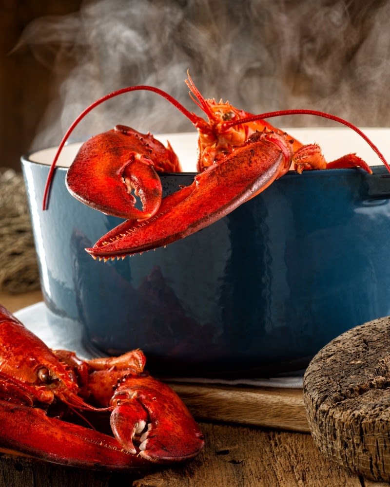 Live lobsters will be spared a very hot fate in England