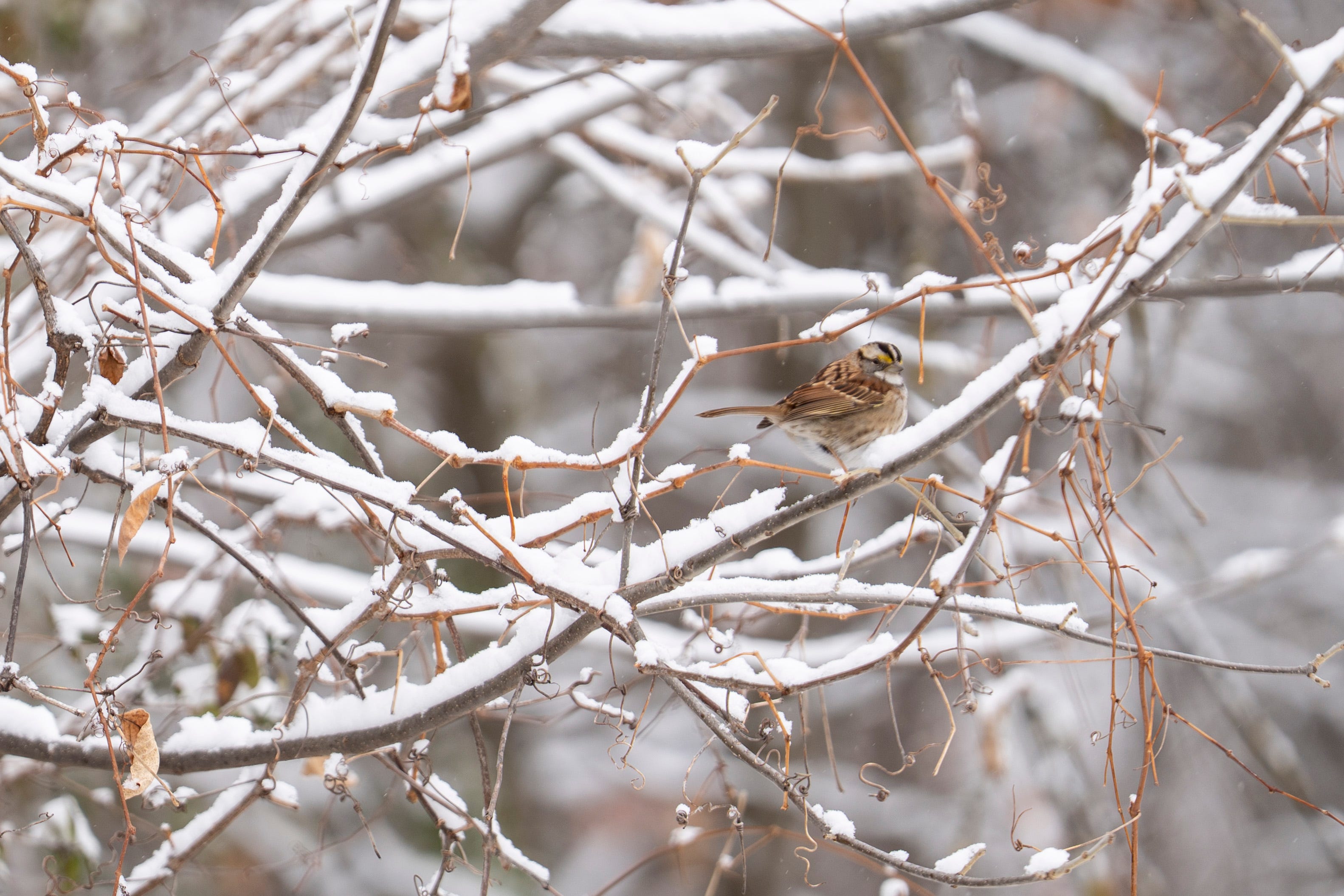 Freezing rain could make travel slick in parts of North Jersey