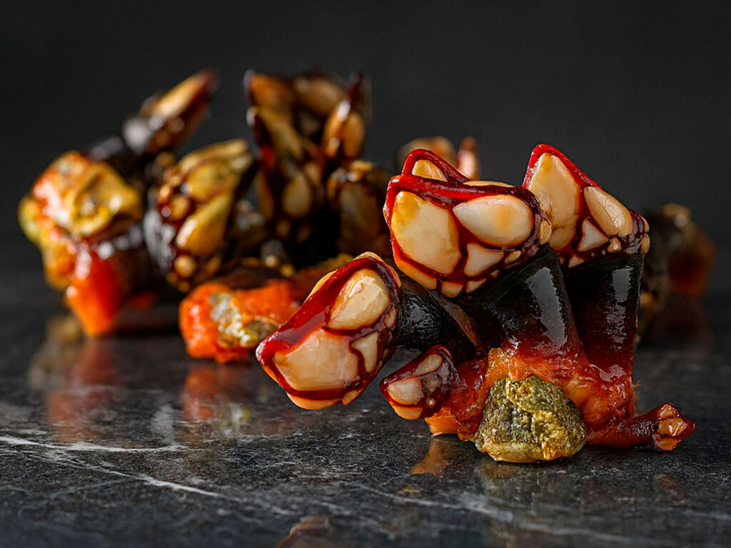 ¿De sol o de sombra? Por qué importa de qué tipo son los percebes y ...