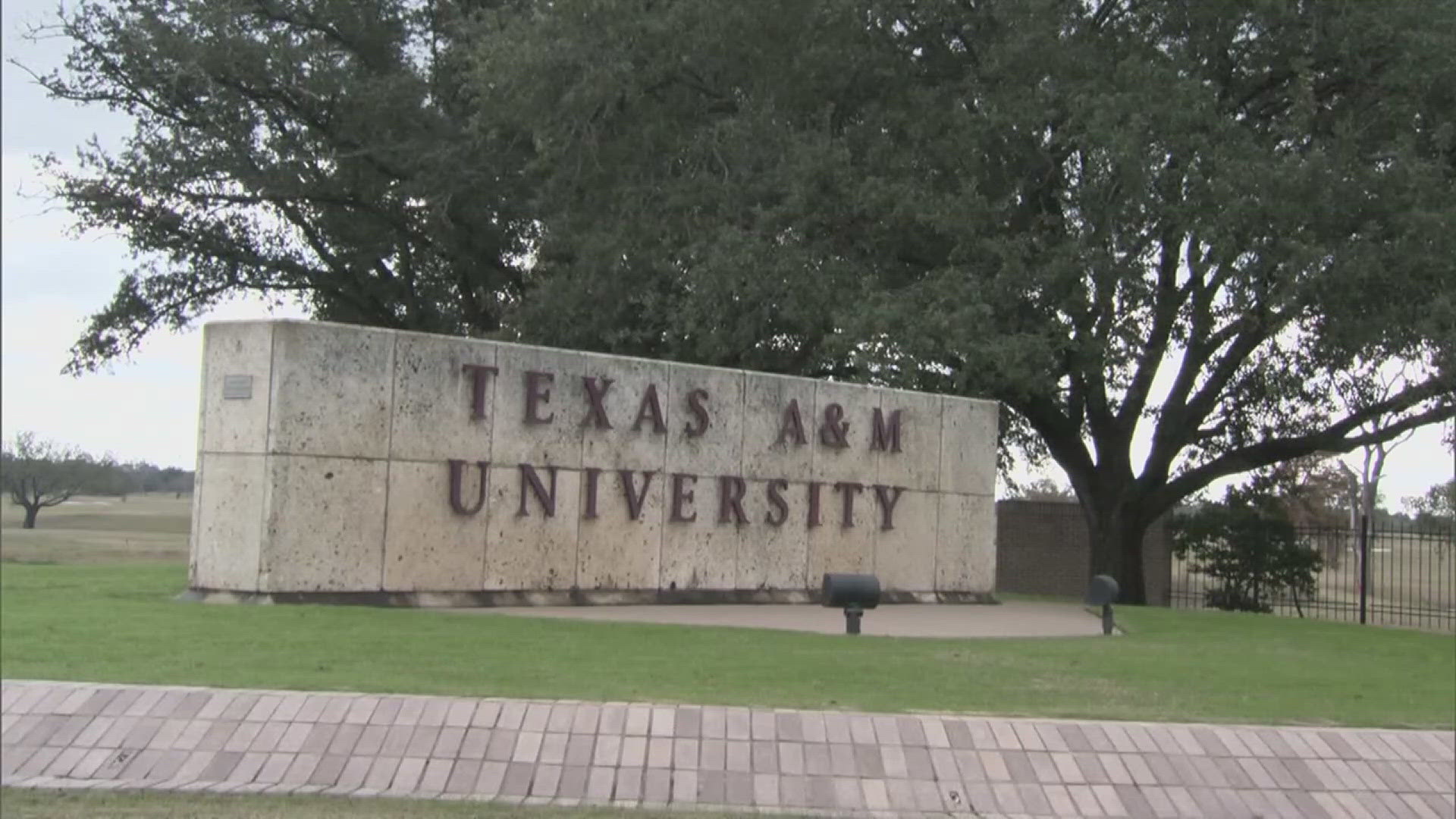 Texas A&M will not reinstate lecturer after being fired for discussing ...