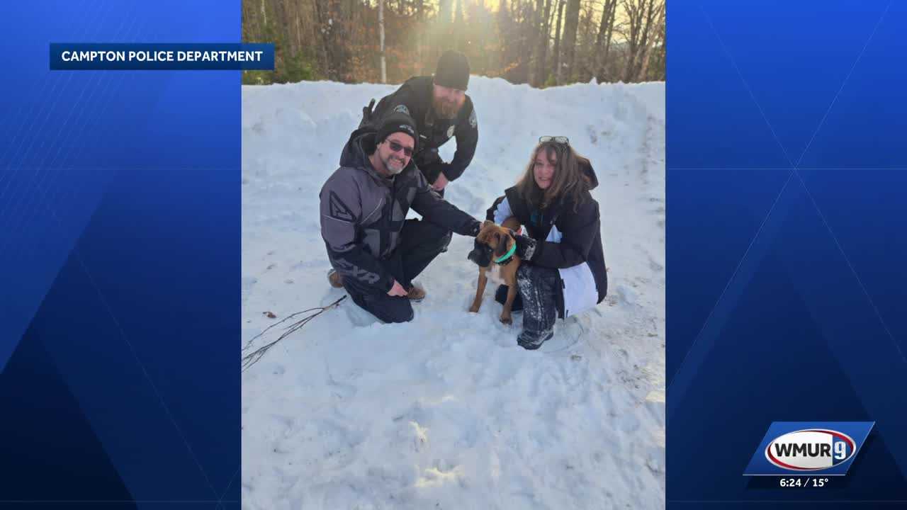 Missing dog found with assistance of drone, officials say