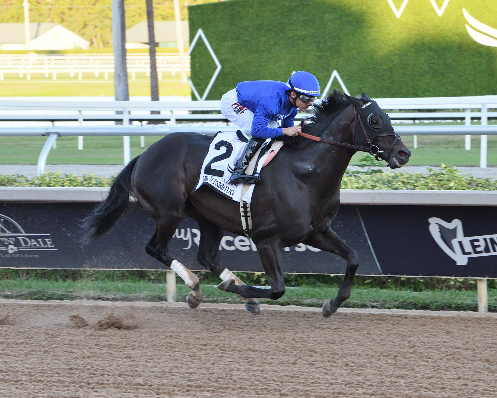 Knightsbridge takes Mr. Prospector in gate-to-wire romp
