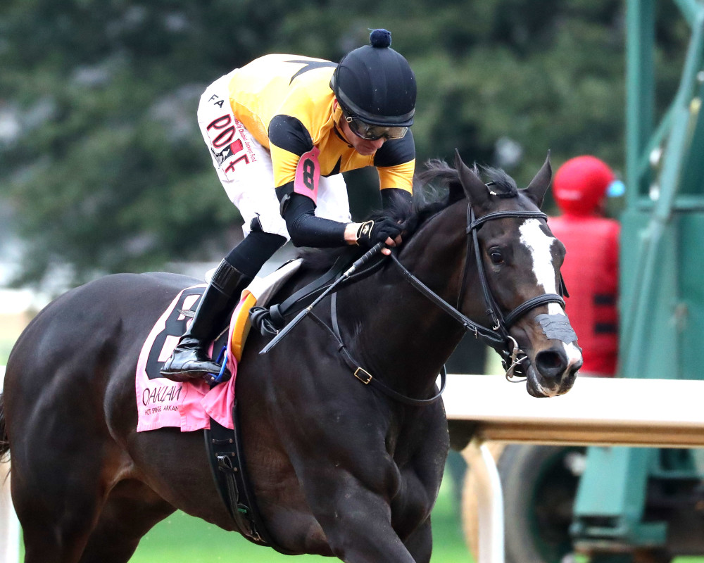 Counting Stars doubles up on Oaklawn stakes wins in year's end