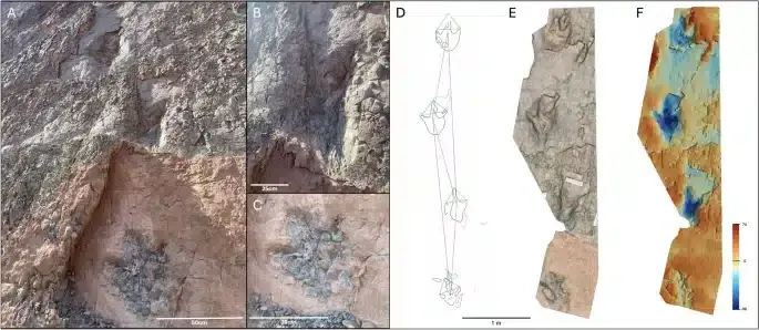 160-million-year-old dinosaur tracks discovered in Chile’s Atacama Desert